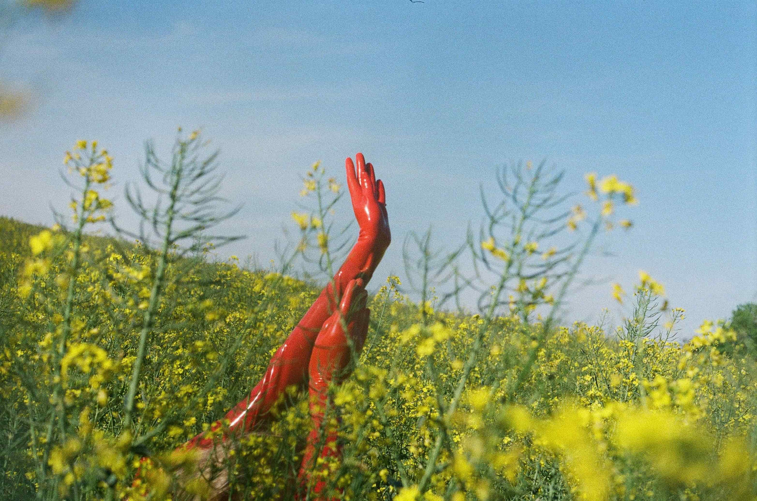 Unveiling Elegance: Tarza & Jane's Spring Editorial 2023 – A Fusion of ...